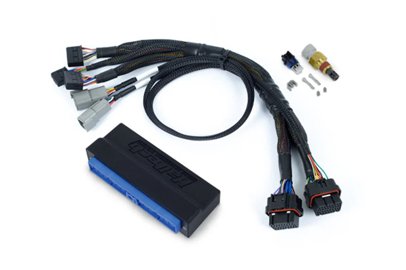 Haltech Nexus S3 Plug 'n' Play Adapter Harness Kit - Nissan Skyline R3 ...